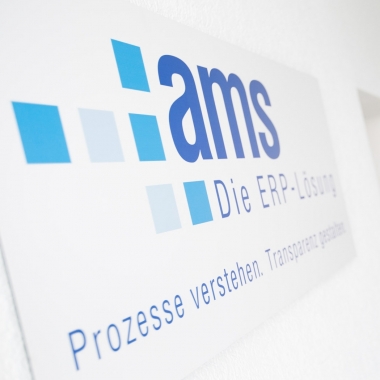 ams.Solution als Arbeitgeber: Gehalt, Karriere, Benefits