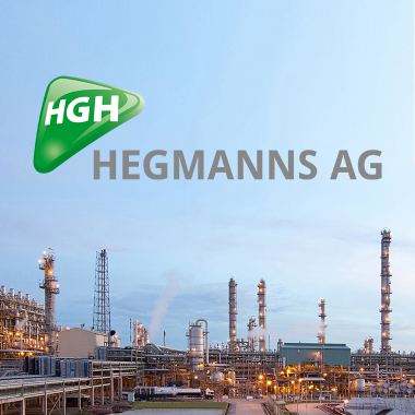 Hegmanns als Arbeitgeber: Gehalt, Karriere, Benefits
