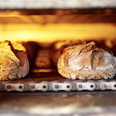 Harry-Brot als Arbeitgeber: Gehalt, Karriere, Benefits | kununu