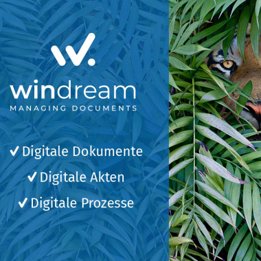 windream als Arbeitgeber: Gehalt, Karriere, Benefits