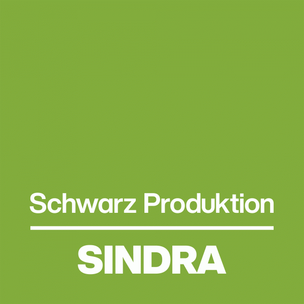 Sindra als Arbeitgeber Dein Überblick 2026